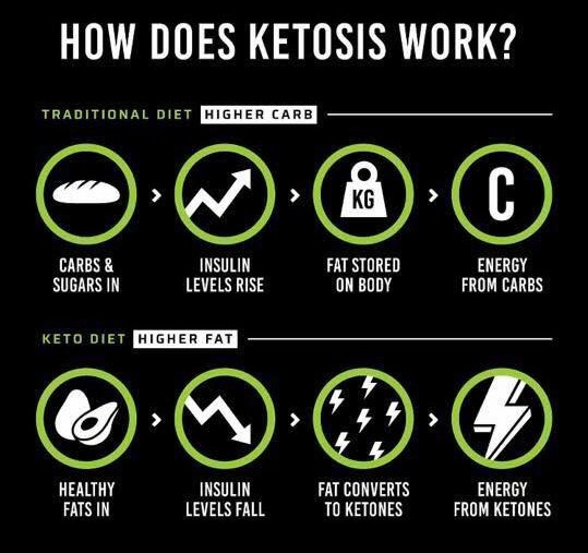 What is Vegetarian Ketogenic Diet - Veketorian | The Keto Place For ...